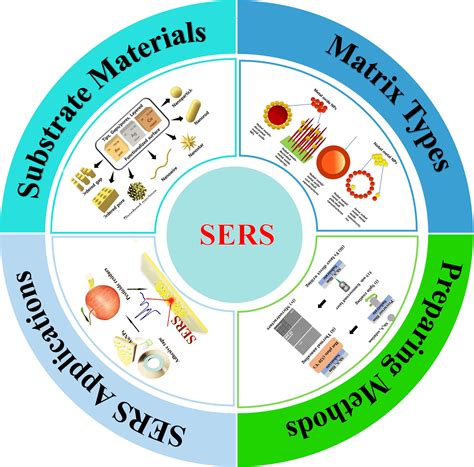 New Trends In Sers Substrates With Micro‐ And Nanostructures Materials