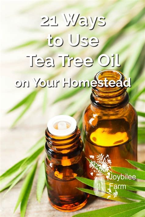 21 Ways To Use Tea Tree Oil On Your Homestead