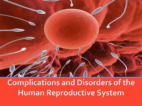 Complications And Disorders Of The Human Reproductive By Patty Savulich Flipsnack