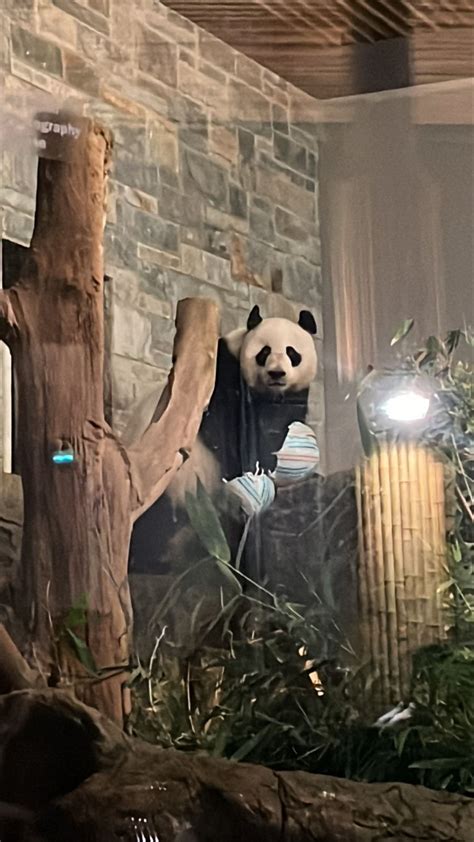 Shuwen Ling On Linkedin Ampeak24 Assetmanagement