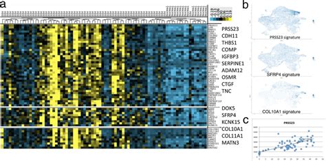 Bulk Rna Expression Data Clusters Reflect Gene Expression By Ssc