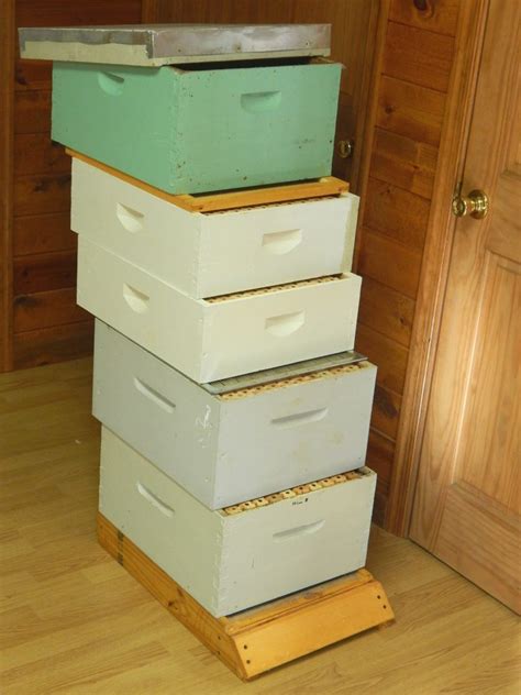 Lesson Hive Components And Assembly Honey Glen Lesson Hive Components And Assembly Honey Glen