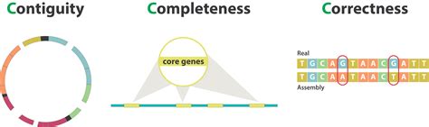 Slides Genome Assembly Quality Control Genome Assembly Quality Control Assembly