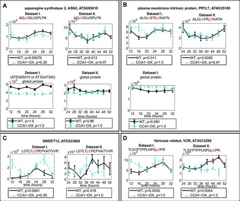 examples of newly described phosphopeptide rhythms with jtk cycle p