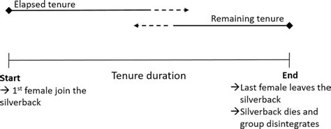 Graphical Description Of Tenure Duration Elapsed Tenure” Is The Download Scientific Diagram
