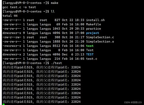 linux系统编程1（进程概念详解） linux进程编程 csdn博客