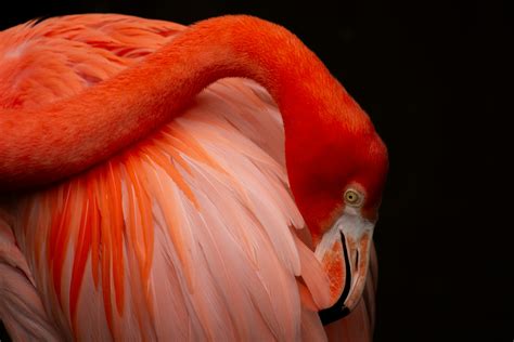 자율주행자동차의 장단점