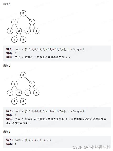 【代码随想录day21】二叉树的最近公共祖先 Csdn博客