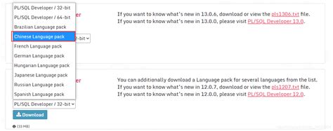 Plsql Developer下载安装及使用plsql Developer必须按在c盘吗 Csdn博客