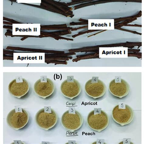 Biomass Samples Used In This Research A Pruning Residues B Download Scientific Diagram