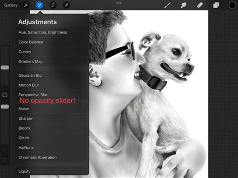 Procreate Layer Opacity How To Master It Adventures With Art