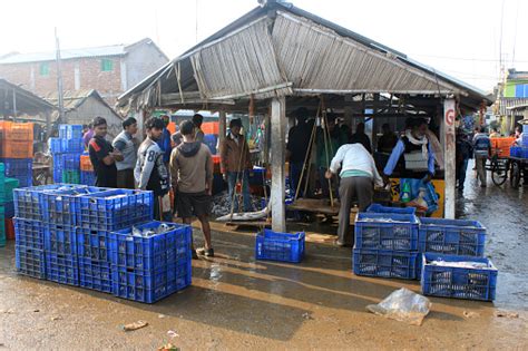 어 부는 Digha의 연안에서 물고기를 수집합니다 어 부는 노력 하 고 있다 관광객에 대한 스톡 사진 및 기타 이미지 관광객 낚시 남자 Istock