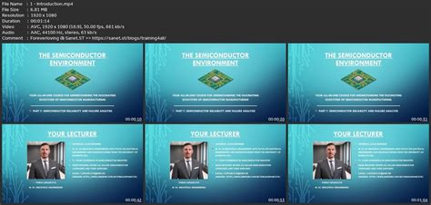The Semiconductor Environment Part 7 Softarchive