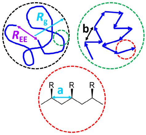 Schematic Representation Of A Polymer Chain At Different Length Download Scientific Diagram