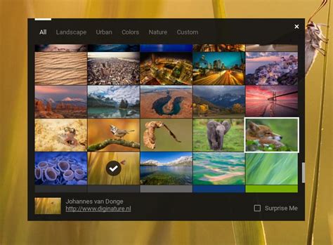 Chromebook Basics Chromebook Settings And Customization