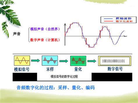 音频信息的采集与加工 课件 张PPT 世纪教育网 二一教育