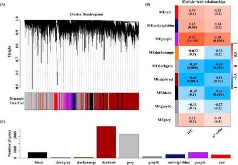 Weighted Gene Co Expression Network Analysis Wgcna A Gene