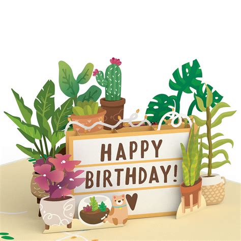 Plant Birthday Card Plant Lover Birthday Card Lovepop