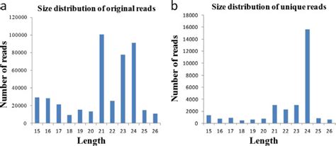 Size Distribution Of Sequenced Small Rnas Download Scientific Diagram
