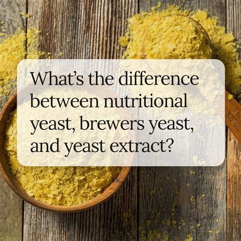 What Is The Difference Between Nutritional Yeast And Brewers Yeast