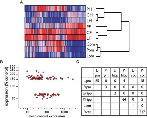 A Hierarchical Clustering Of Transcript Expression Levels In Three