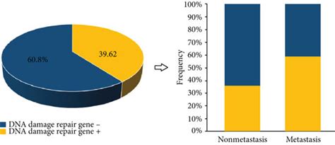 Analysis Of Somatic Alterations In The Ddr Pathway A The Frequency Download Scientific