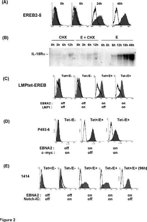 Figure 2 From Epstein Barr Virus Nuclear Antigen 2 Induces Interleukin
