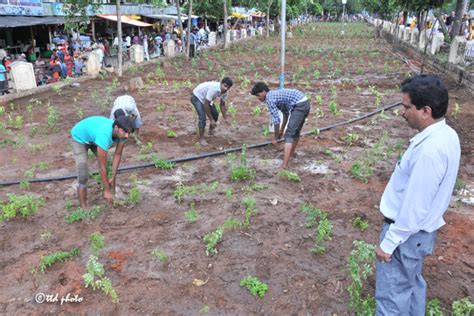 BEAUTIFICATION OF TIRUMALA BEGINS THROUGH PLANTATION TTD News