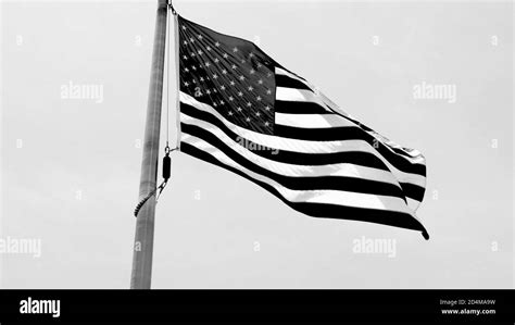 Black And White American Flag Waving