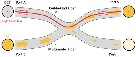 Diagram Of Double Clad Fiber Coupler Download Scientific Diagram