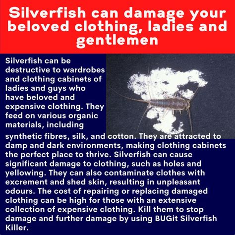 Silverfish Killer 1000 Kill Resolve Silverfish Infestation Shopee