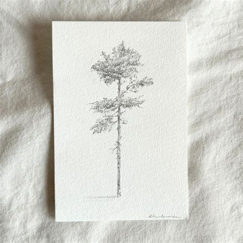 Small Tree Pencil Drawing Original Tree Study Drawing Handmade Paper Art Mini Tree Sketch