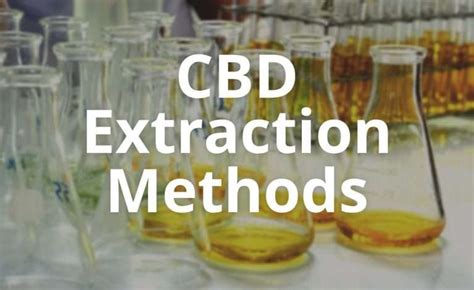 Cbd Extraction Methods Cbd Review Lab