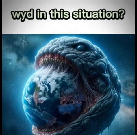 Wyd In This Situation R Funnymemes