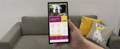 Svb Siegen Newsletter