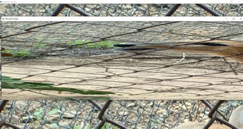 如何使用opencv为图像加水印 Csdn博客