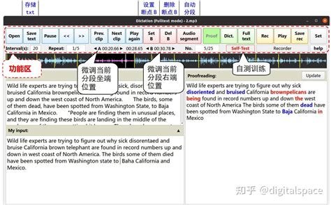 英语听写软件下载 知乎