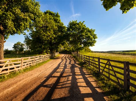 Understanding Key Types Of Zoning Codes For Businesses