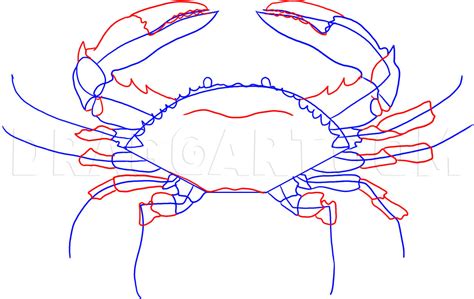How To Draw A Crab Drawing Step By Step By Dawn DragoArt