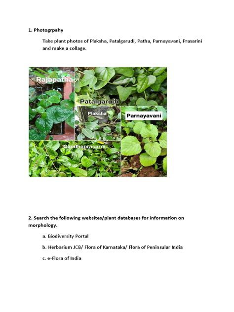 dg module assignment pdf