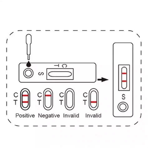 Hcg Pregnancy Test Cassette Manufacturer And Supplier