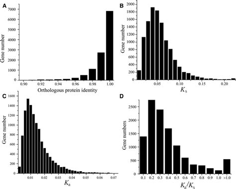 Distributions Of The Features Of Protein Coding Sequences For The Download Scientific Diagram
