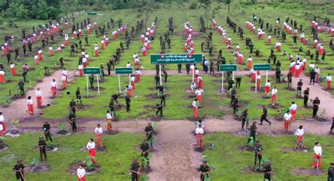 ကာကွယ်ရေးဦးစီးချုပ်ရုံး ကြည်း၊ ရေ၊ လေ မိသားစုများ၏ ၂၀၂၃ ခုနှစ် ဒုတိယအကြိမ် မိုးရာသီသစ်ပင်စိုက