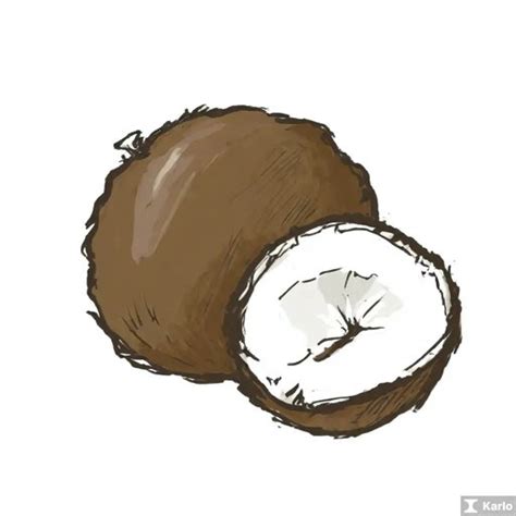 코코넛의 다양한 활용 방법과 건강 효능