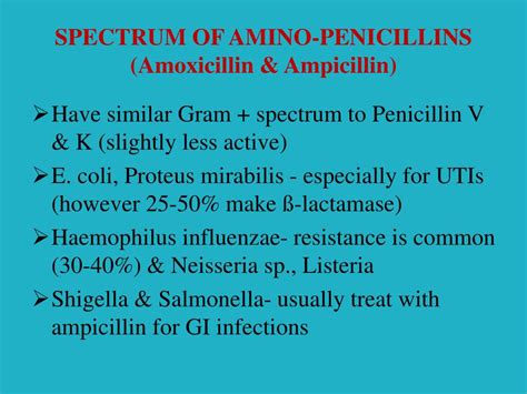 Ppt Penicillins Powerpoint Presentation Free Download Id 2355549