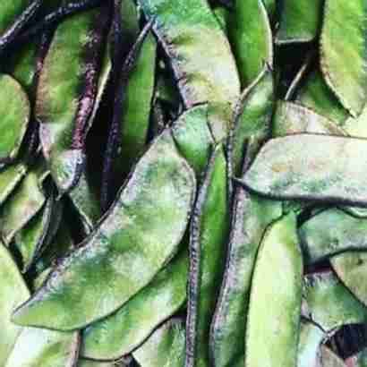 Bichi Sheem Nitta Bazar