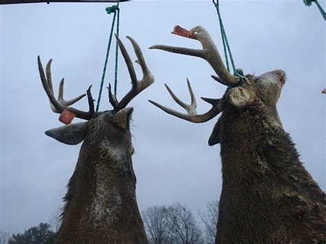 Mid Michigan Hunters Check Out These Buck Pole Events Planned For