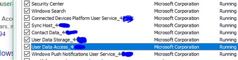 what is user data access xxxxx r windows10