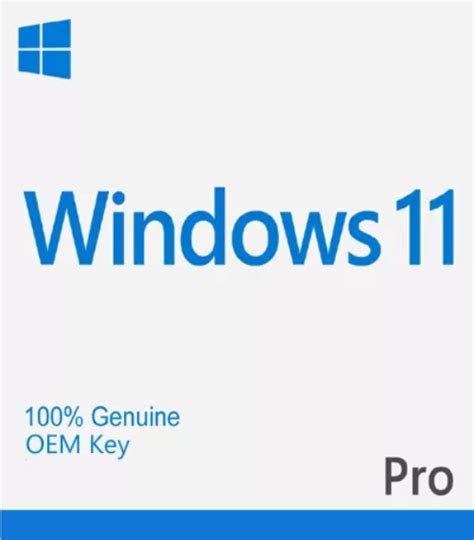 Windows 11 Pro License OEM Key Soft Fox