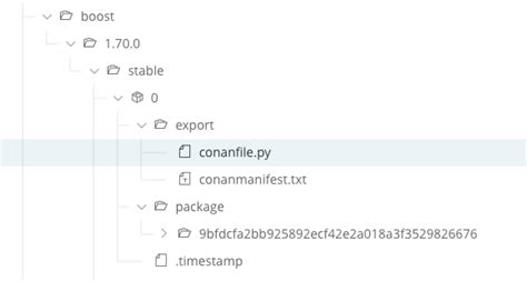 Bug Revision Not Picked Up When Building Conan Package · Issue 6406